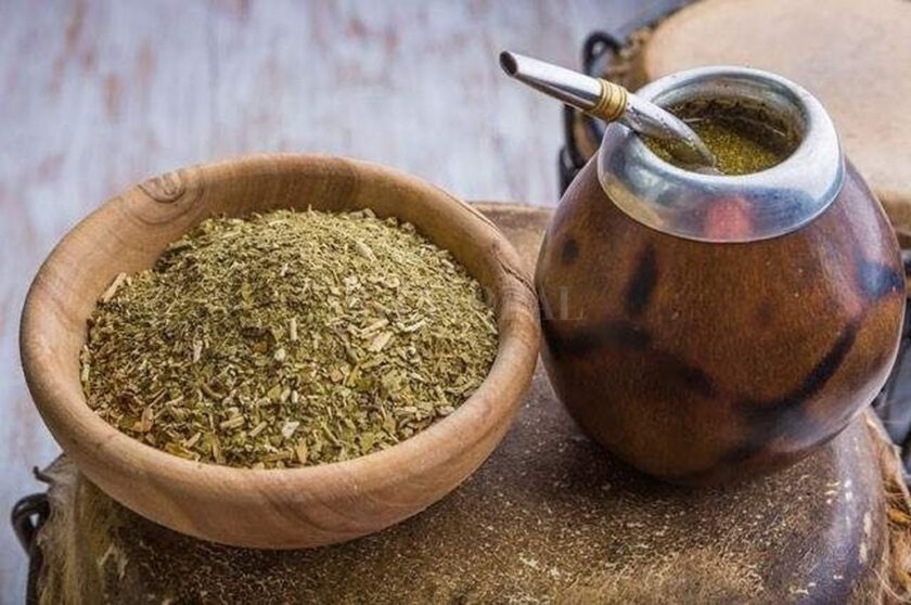 Científicas misioneras premiadas por su aporte al cultivo de yerba ...